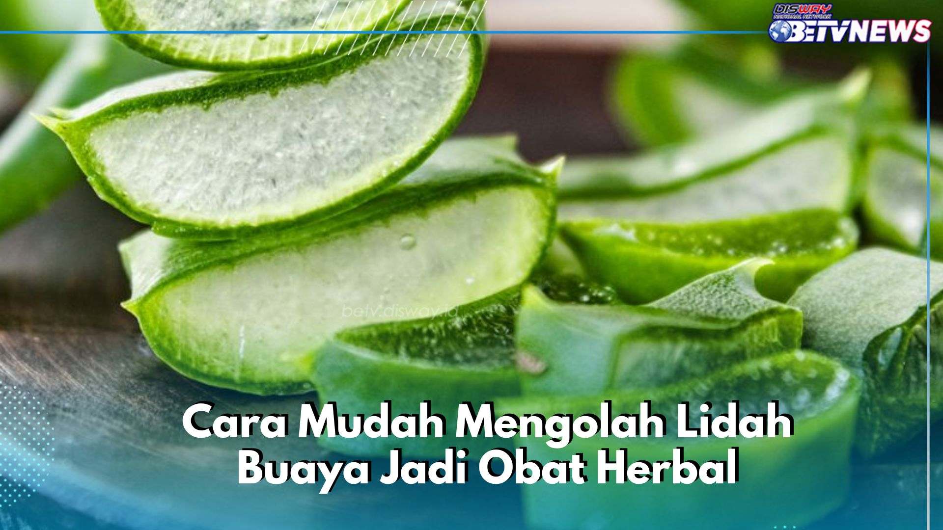 4 Cara Mudah Mengolah Lidah Buaya Jadi Obat Herbal, Cek Lengkapnya ...