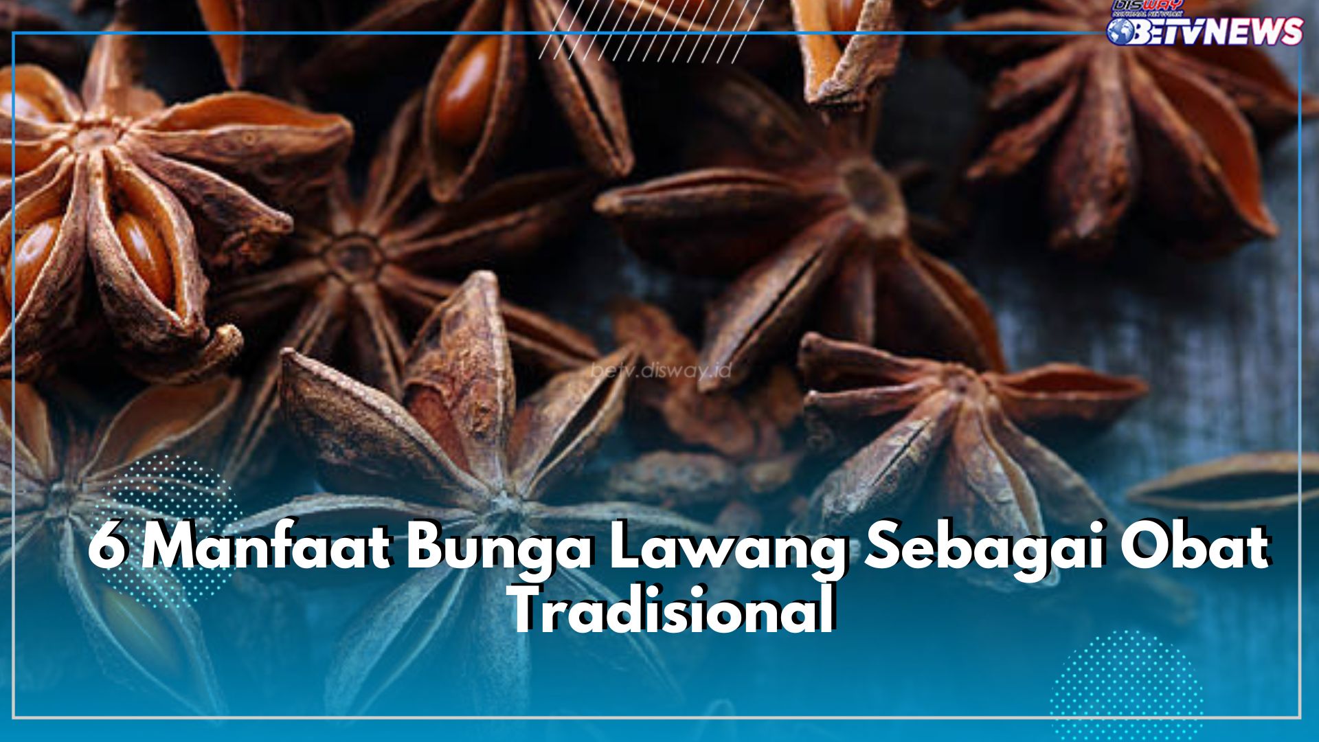 Rempah Pilihan! Ini 6 Manfaat Bunga Lawang Sebagai Obat Tradisional ...
